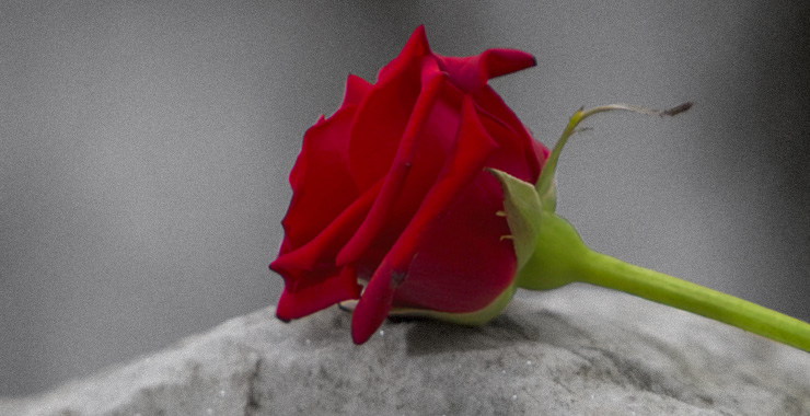 The correct way to grieve – Katrina Michelle Russell